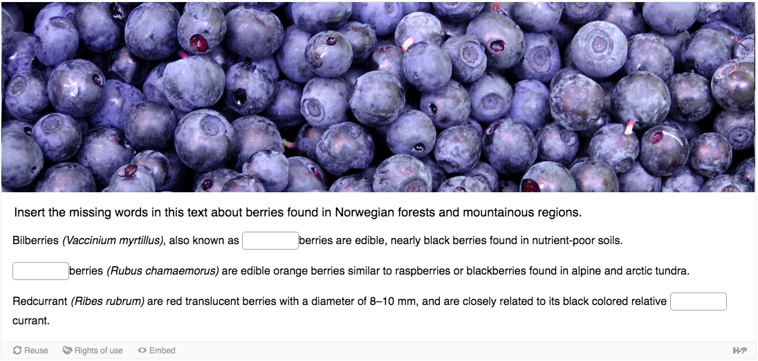 What is H5P? (And Why Your eLearning Needs It!)